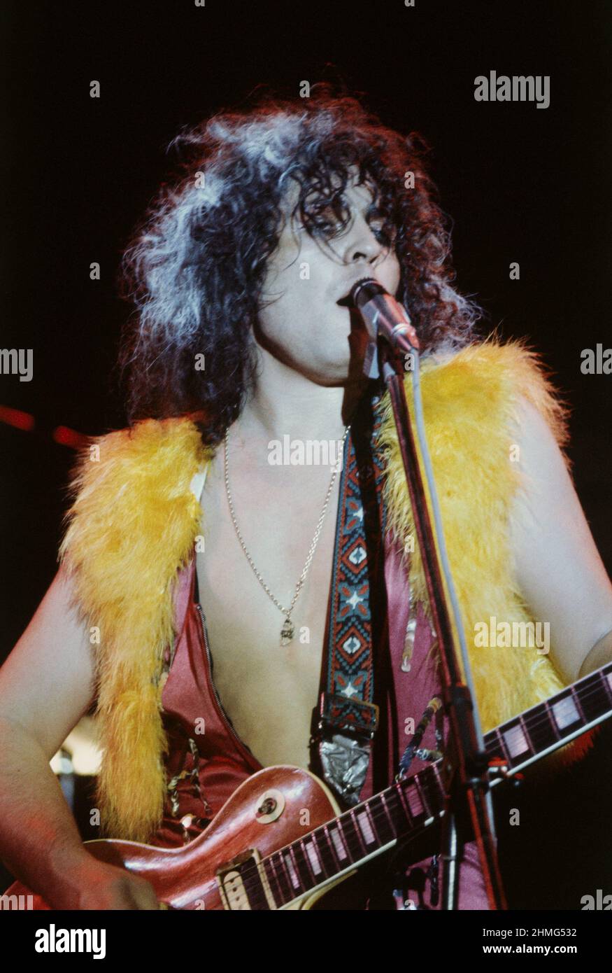 T rex band hi-res stock photography and images - Alamy