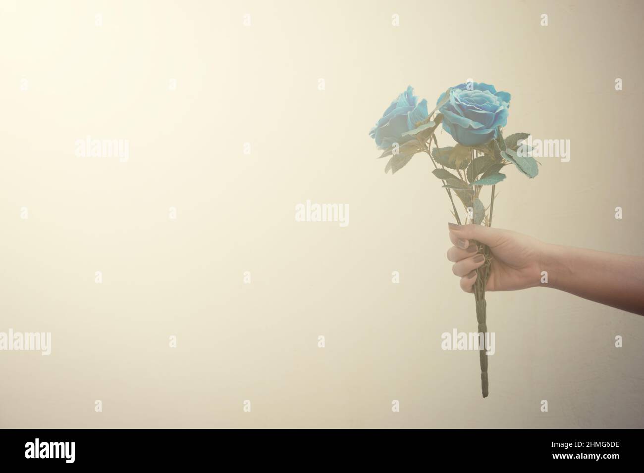Hand holding blue fabric roses on brown background Stock Photo - Alamy