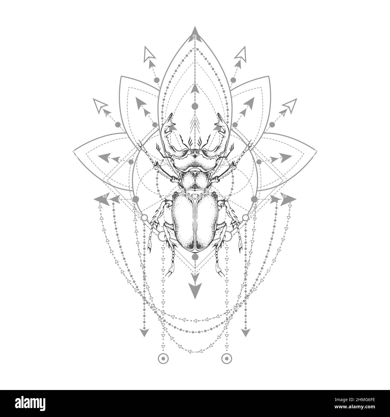 Vector illustration with hand drawn stag beetle and Sacred geometric ...
