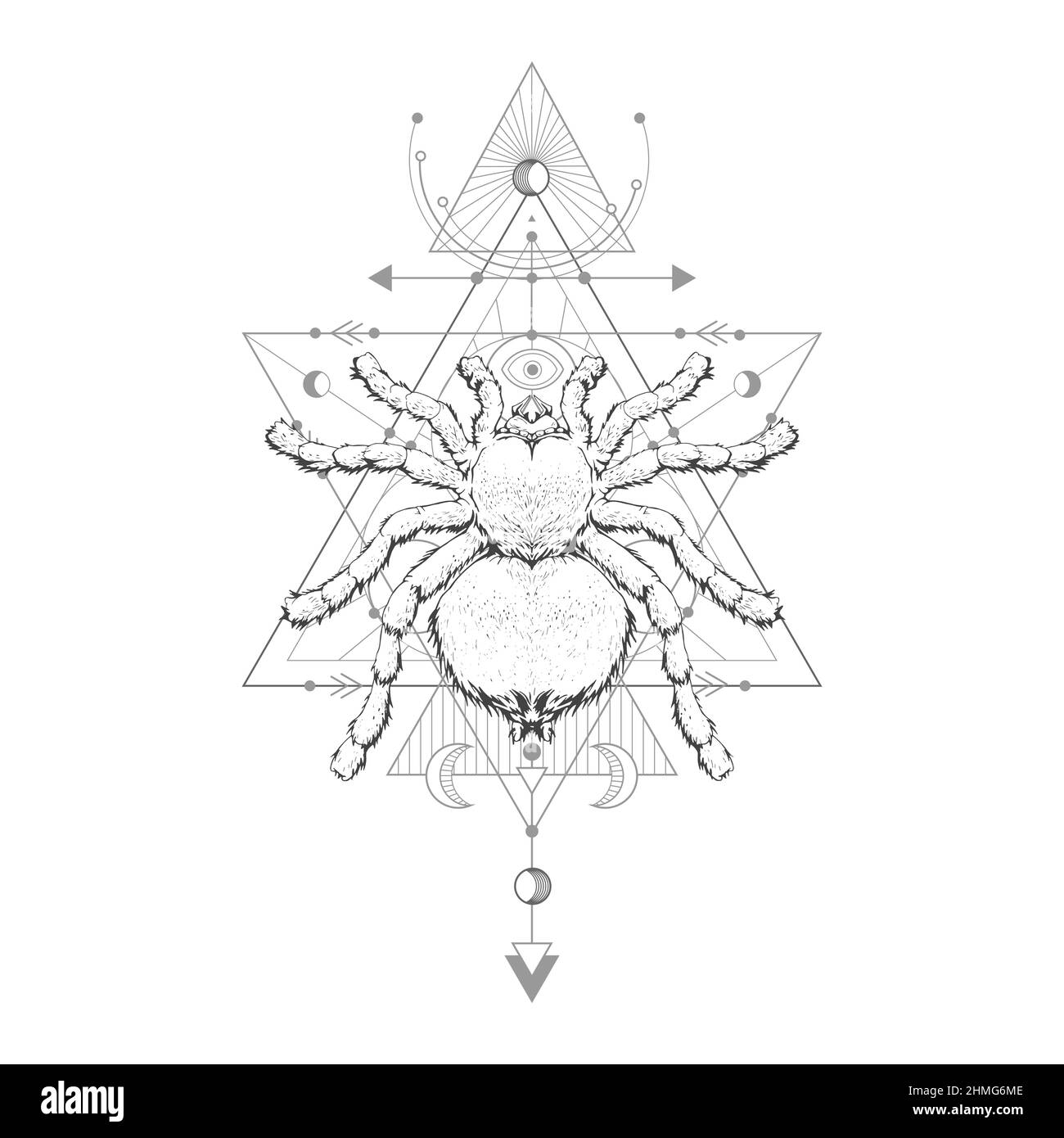 Vector illustration with hand drawn spider tarantula and Sacred ...
