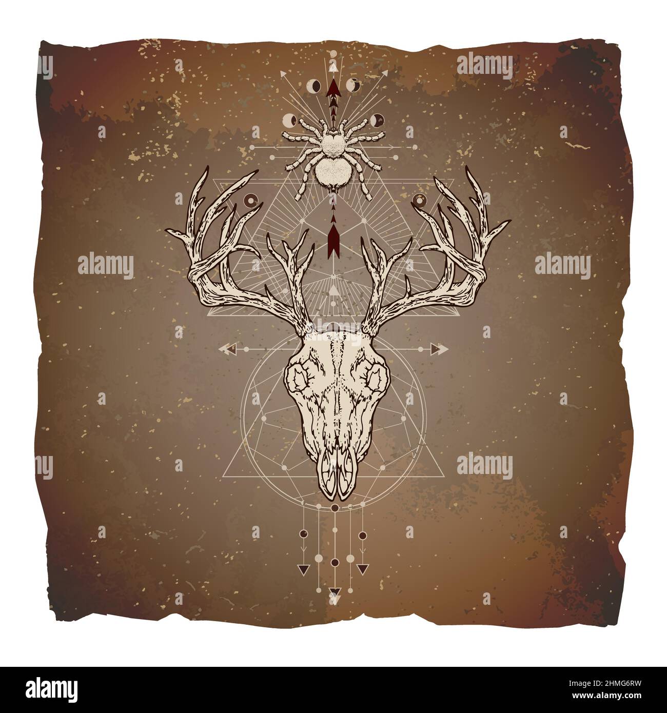 Vector illustration with hand drawn deer skull, spider and Sacred ...