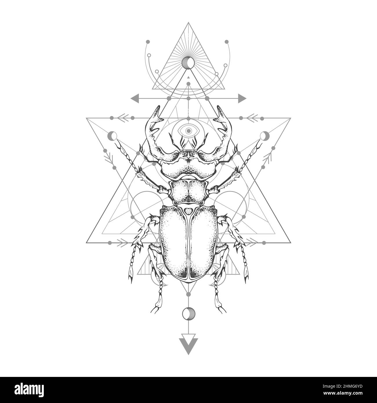 Vector illustration with hand drawn stag beetle and Sacred geometric ...