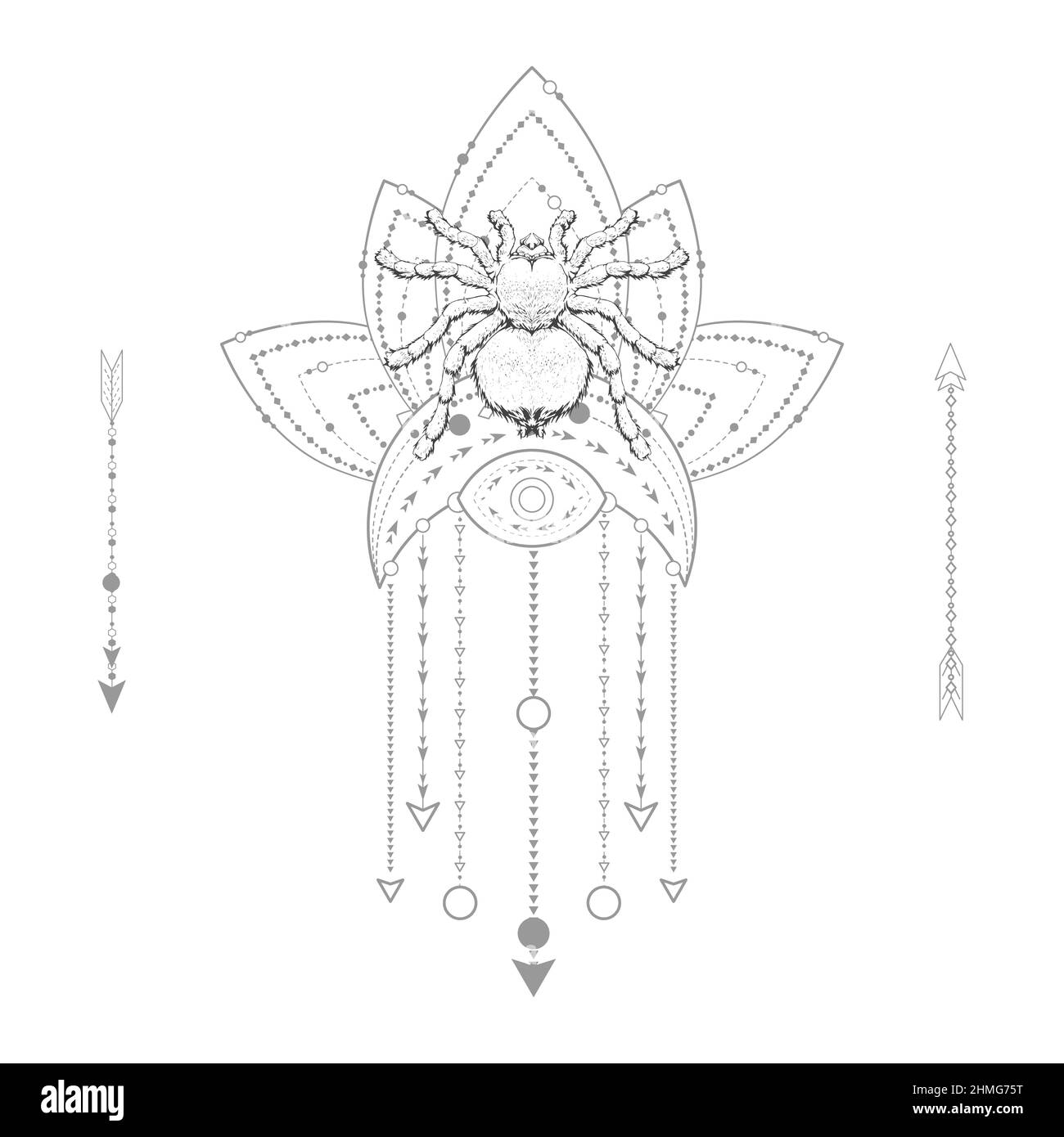 Vector illustration with hand drawn spider and Sacred geometric symbol ...