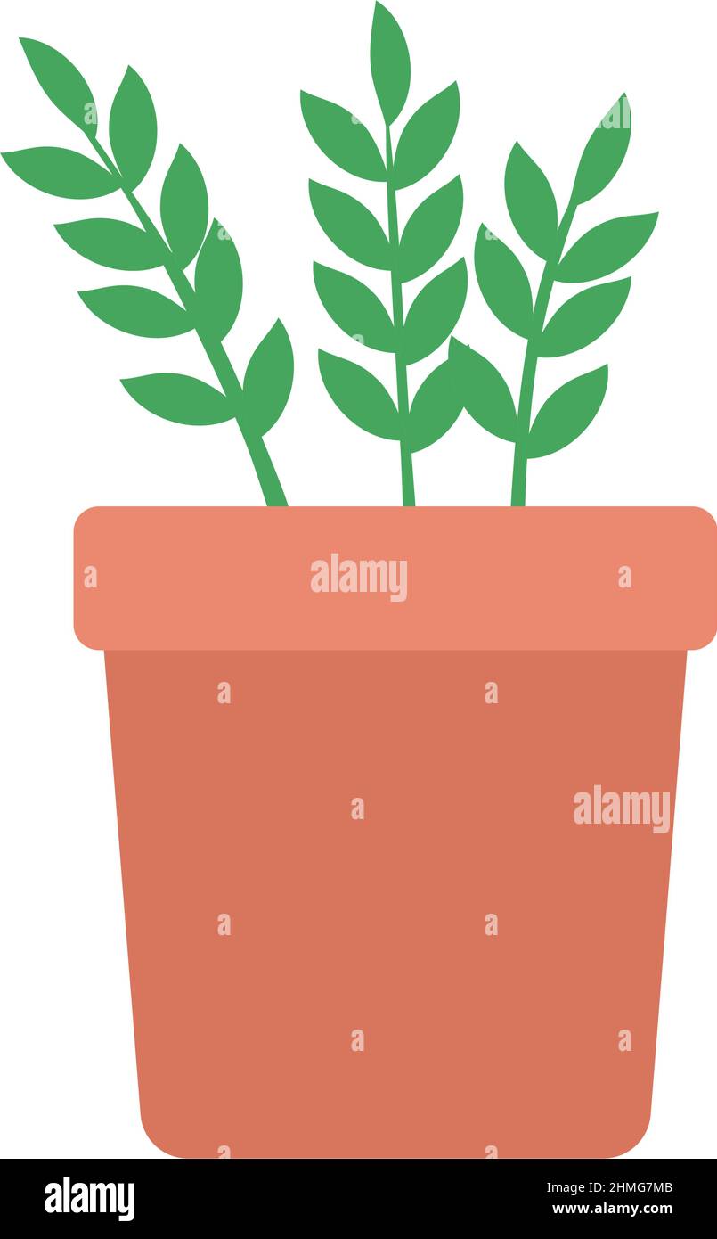 pot plant nature Stock Vector Image & Art - Alamy