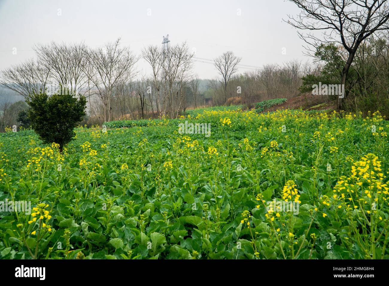 Rural landscape in Hunan, China Stock Photo - Alamy