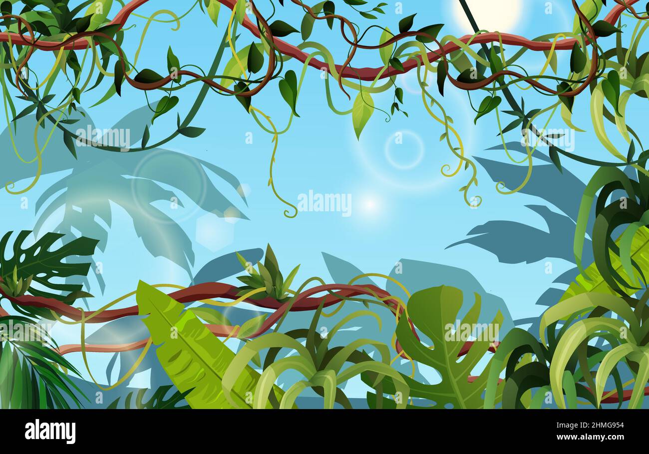 Liana or vine winding branches with tropic leaves background. Jungle ...
