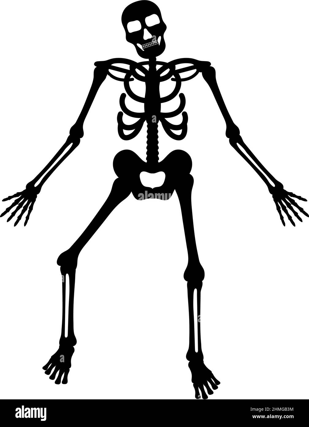 Chest knee Stock Vector Images - Alamy