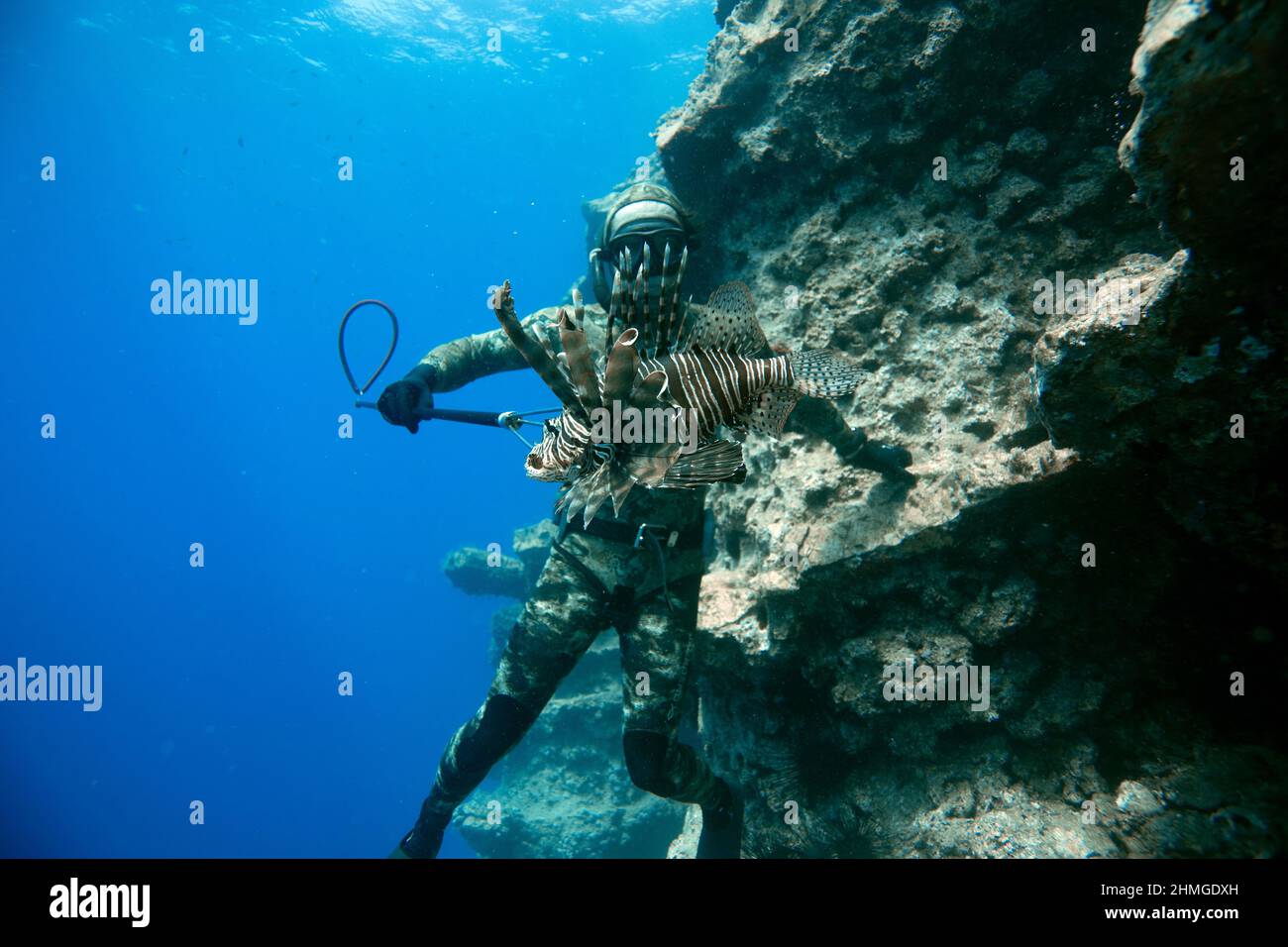 Spearfisherman hi-res stock photography and images - Alamy