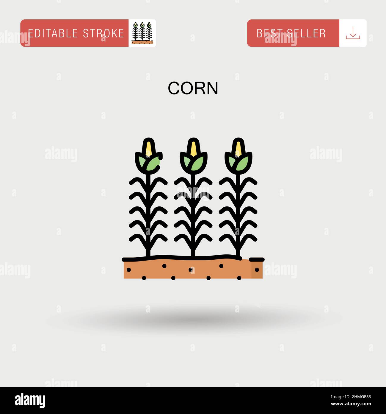 Plant growing field corn crop Stock Vector Images - Alamy