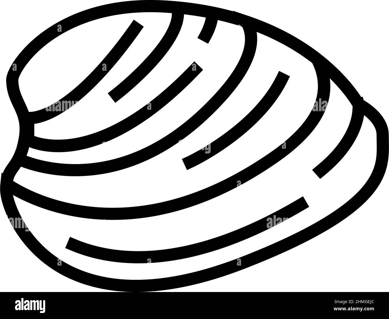 ocean quahog clam line icon vector illustration Stock Vector Image ...