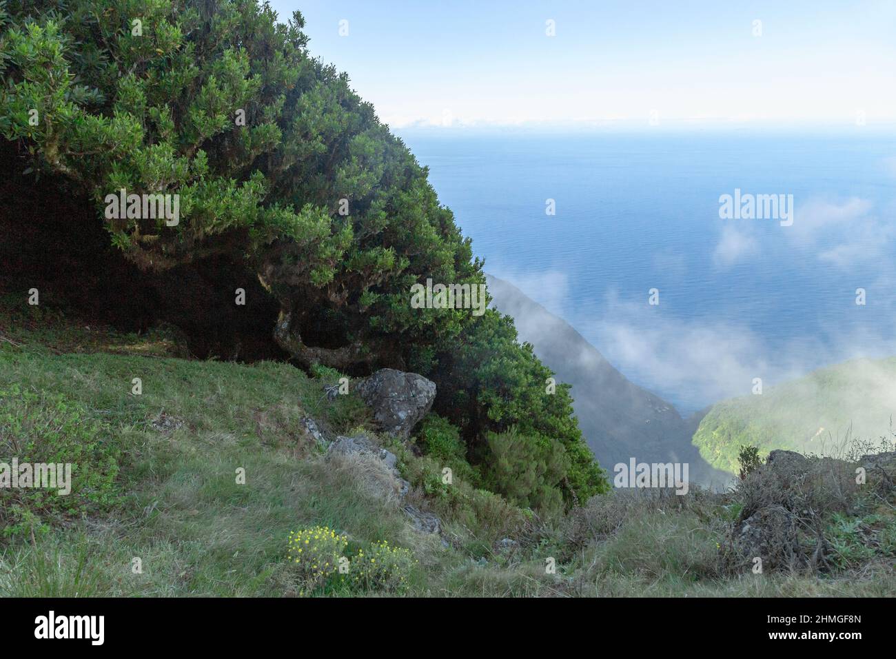 MADEIRA, PORTUGAL - AUGUST 27, 2021: This is a view of the Atlantic ...