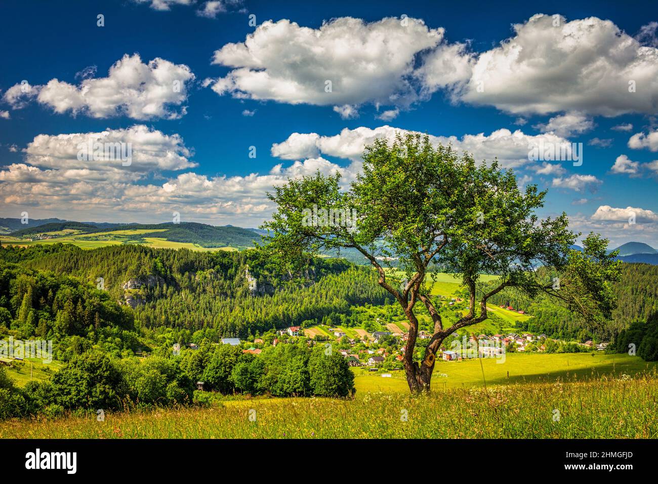 Sunny spring time scenery hi-res stock photography and images - Alamy