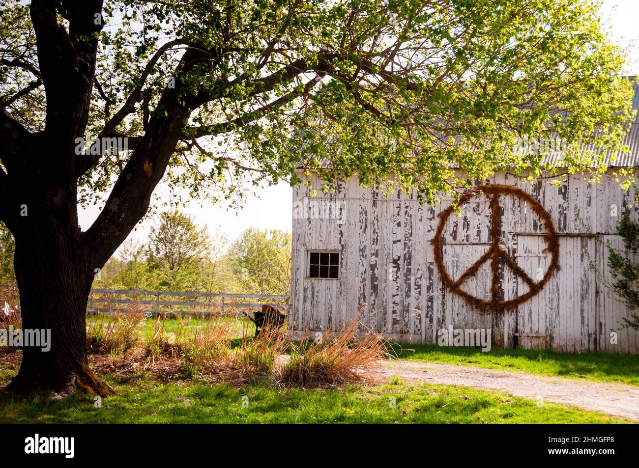 Universal symbol of peace hi-res stock photography and images - Alamy