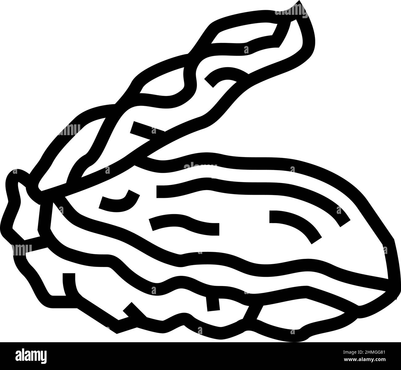 Pacific oyster shell Stock Vector Images - Alamy