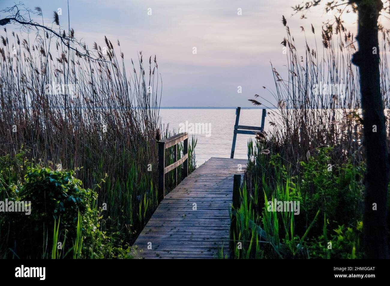 A dock to run and jump into the Chesapeake bay from Kent Island in ...