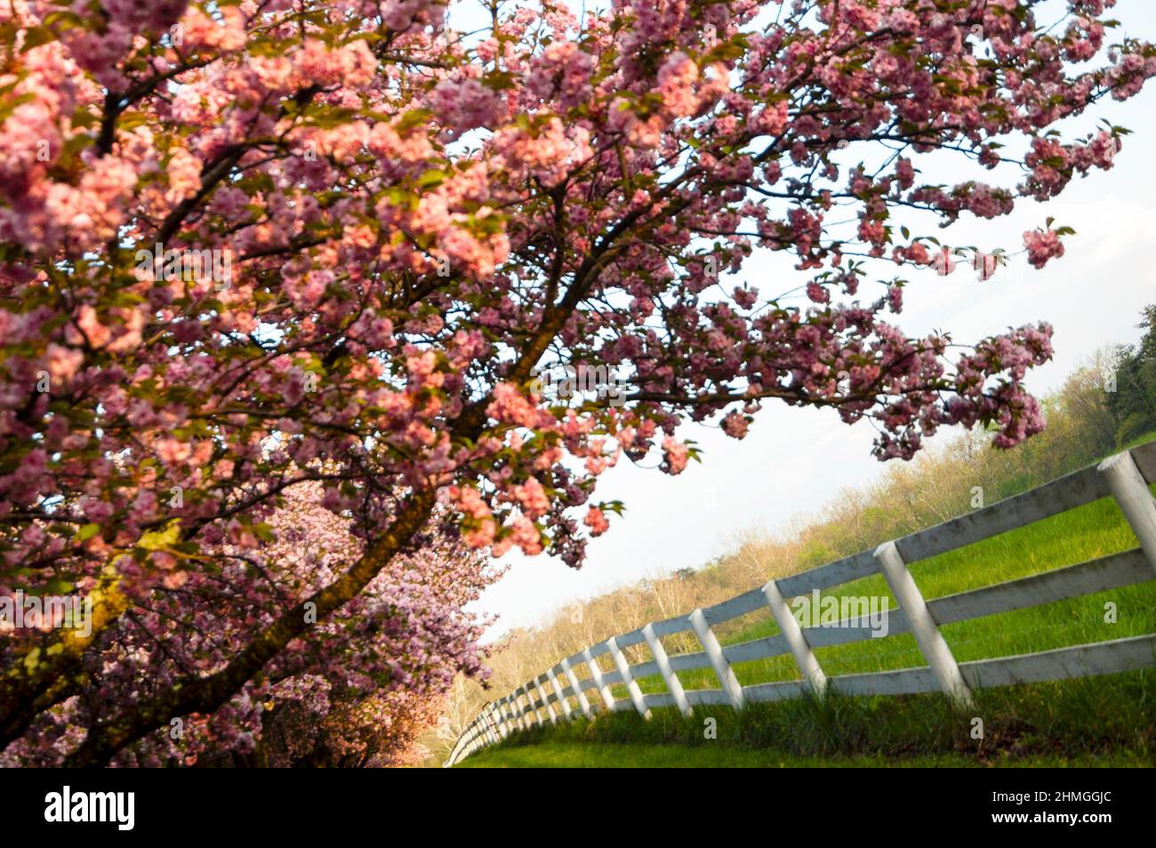 Landscape in the rolling hills of Northern Baltimore County, Maryland ...