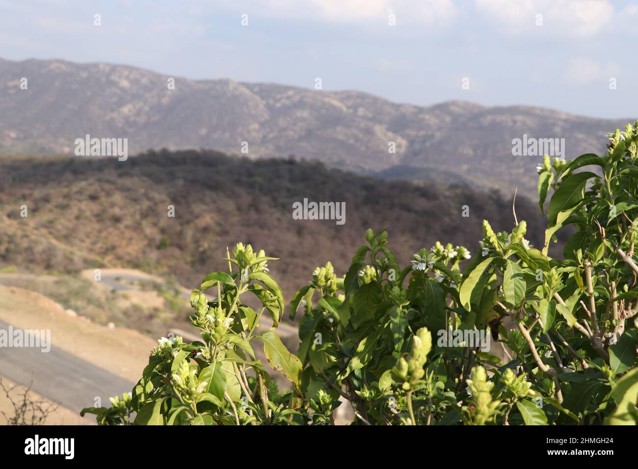 best view of mountains Stock Photo - Alamy