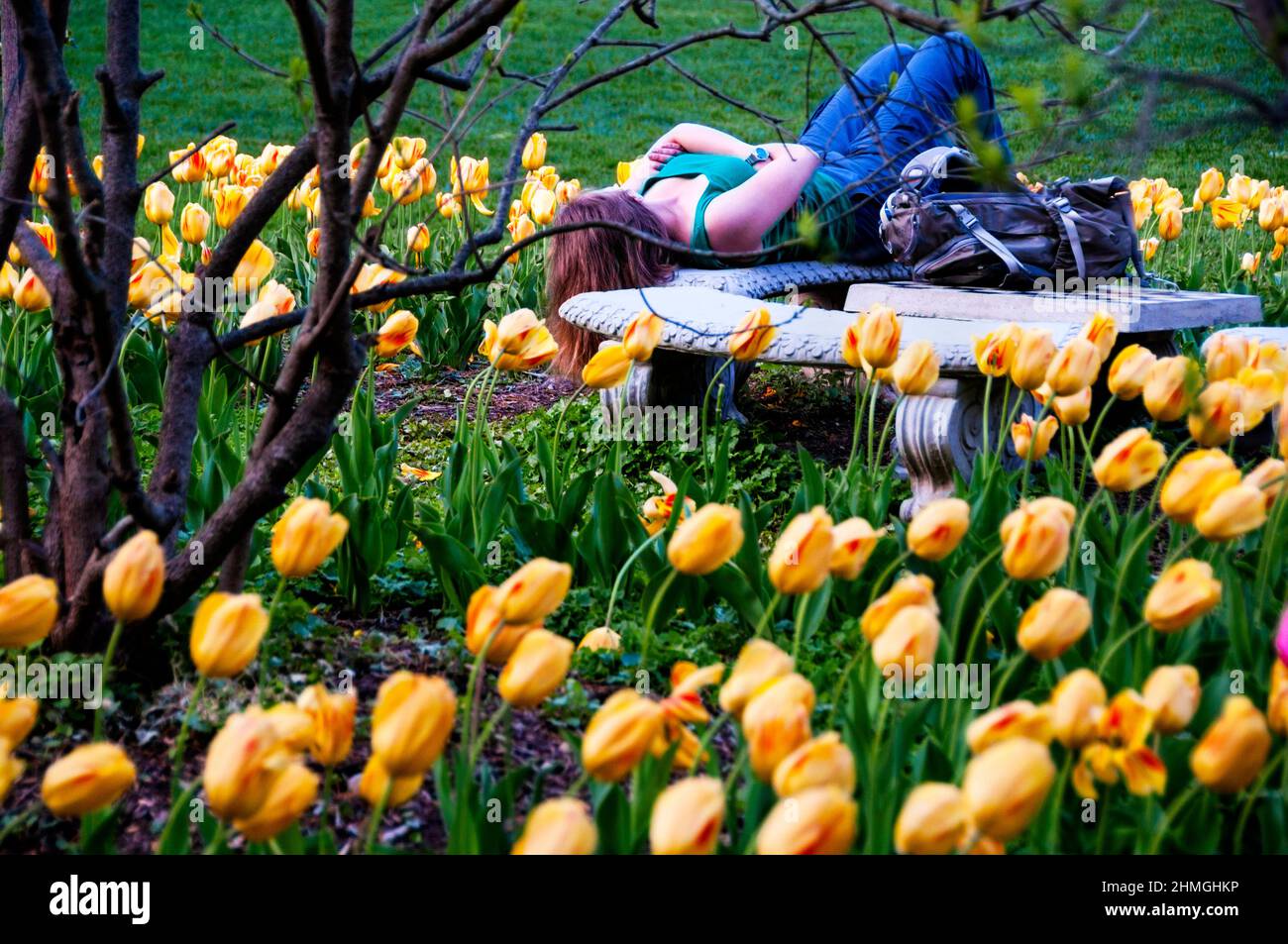 Baltimore public garden hi-res stock photography and images - Alamy