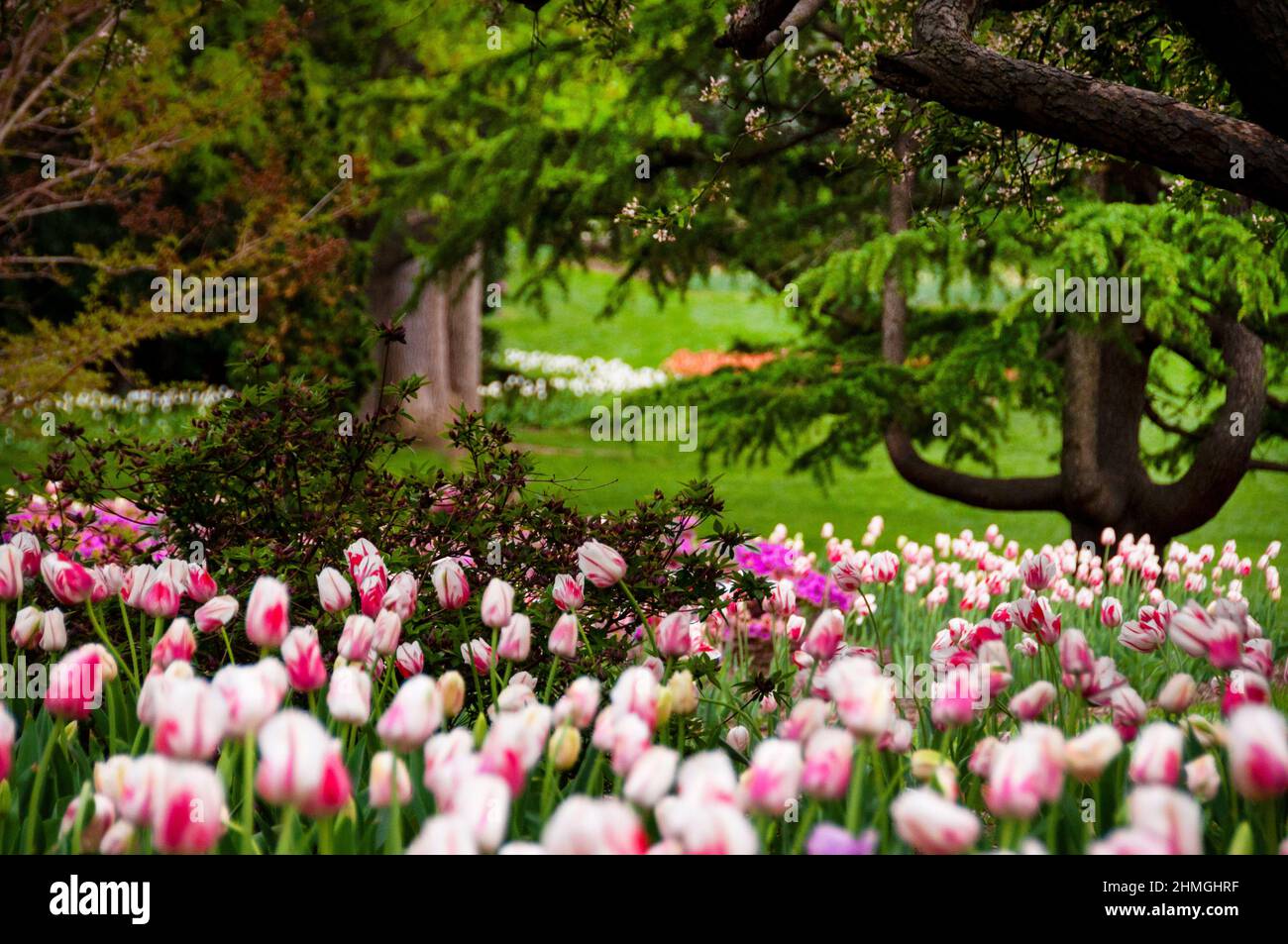 Baltimore public garden hi-res stock photography and images - Alamy