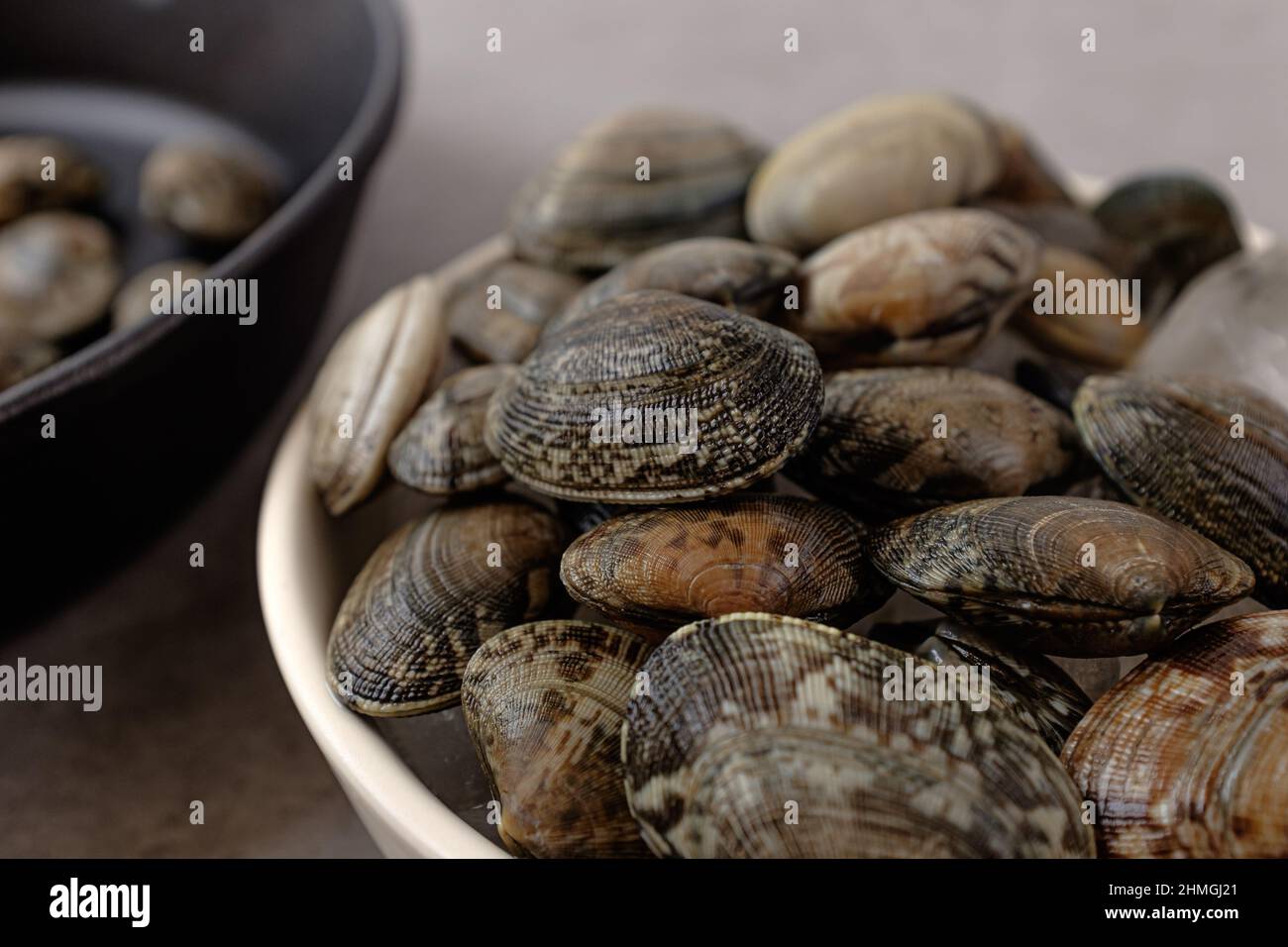 Small fragrant short neck clam Stock Photo - Alamy