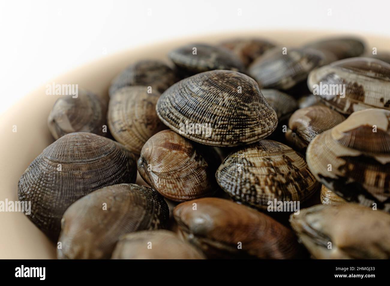 Short neck hi-res stock photography and images - Alamy