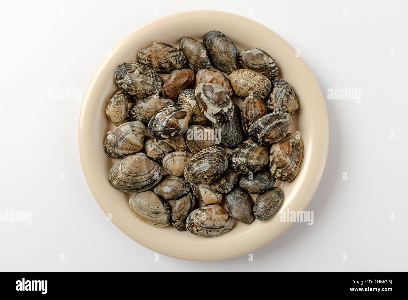 Clam seafood hi-res stock photography and images - Alamy