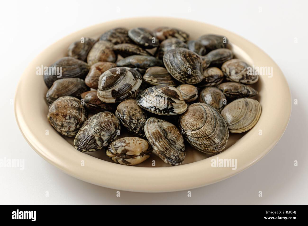 short neck clam on a white background Stock Photo - Alamy