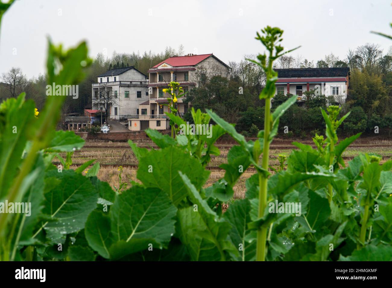 Rural landscape in Hunan, China Stock Photo - Alamy