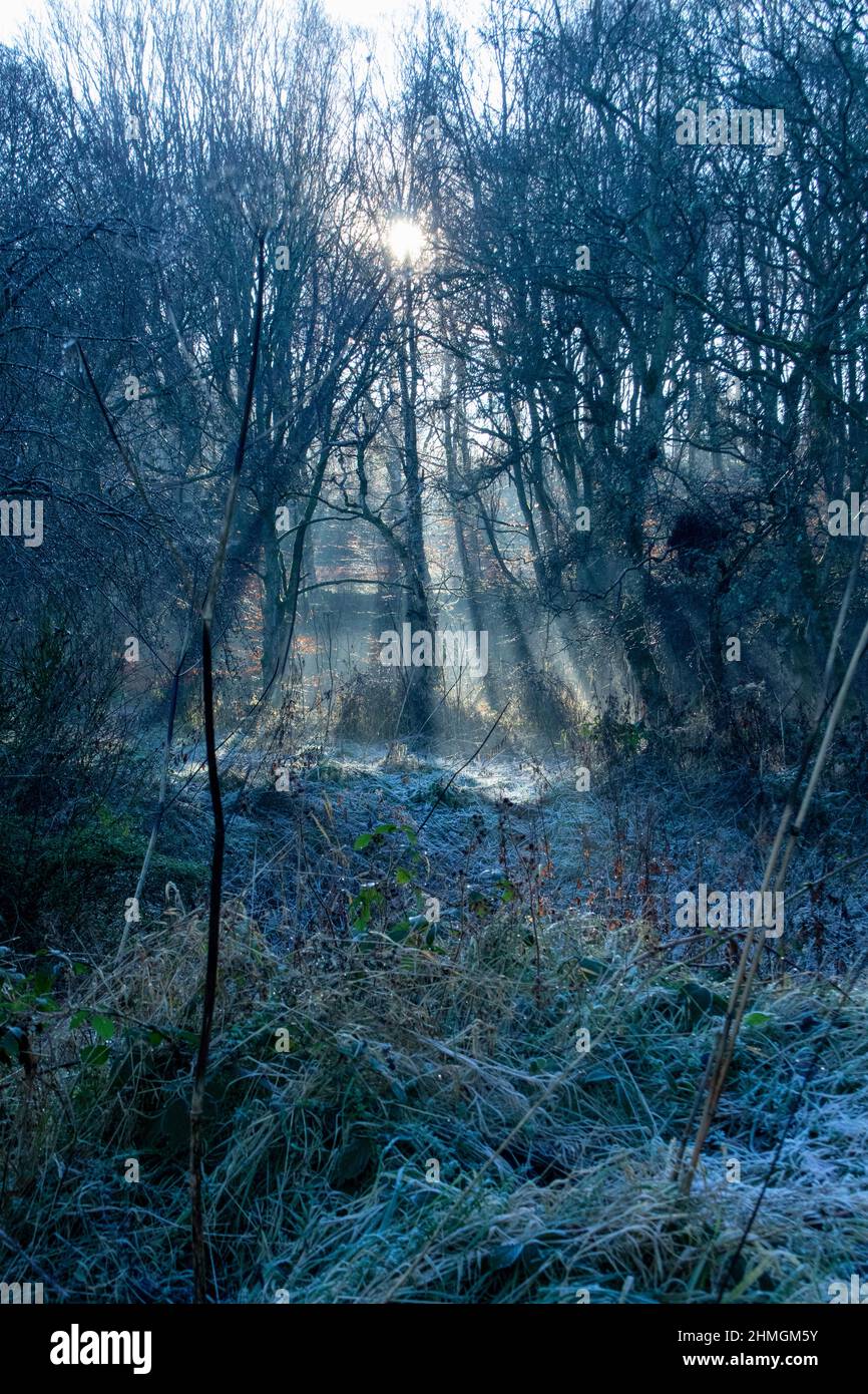 Malton nature reserve hi-res stock photography and images - Alamy