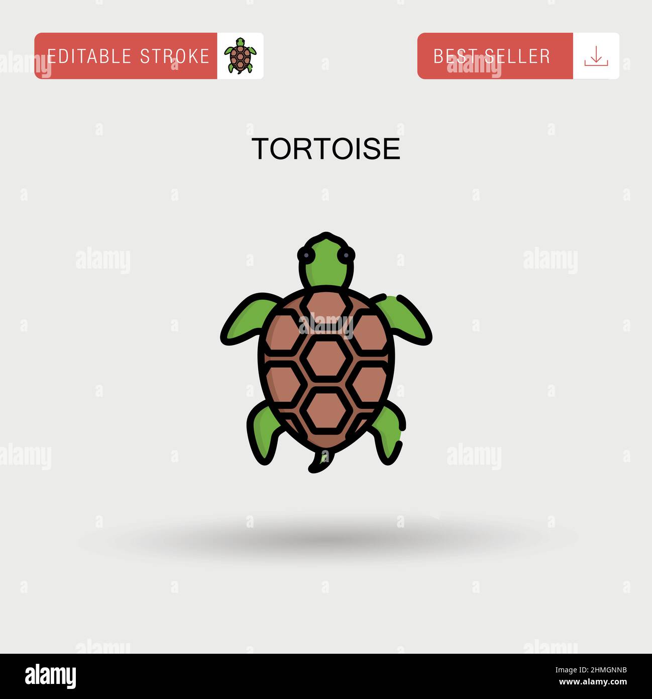 Old turtle vector hi-res stock photography and images - Alamy