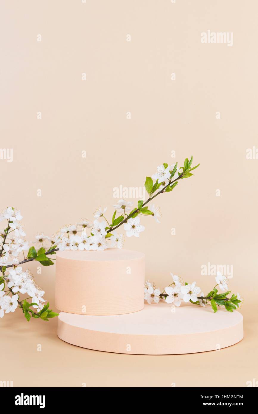 Geometric podium platform stand for product presentation and spring ...