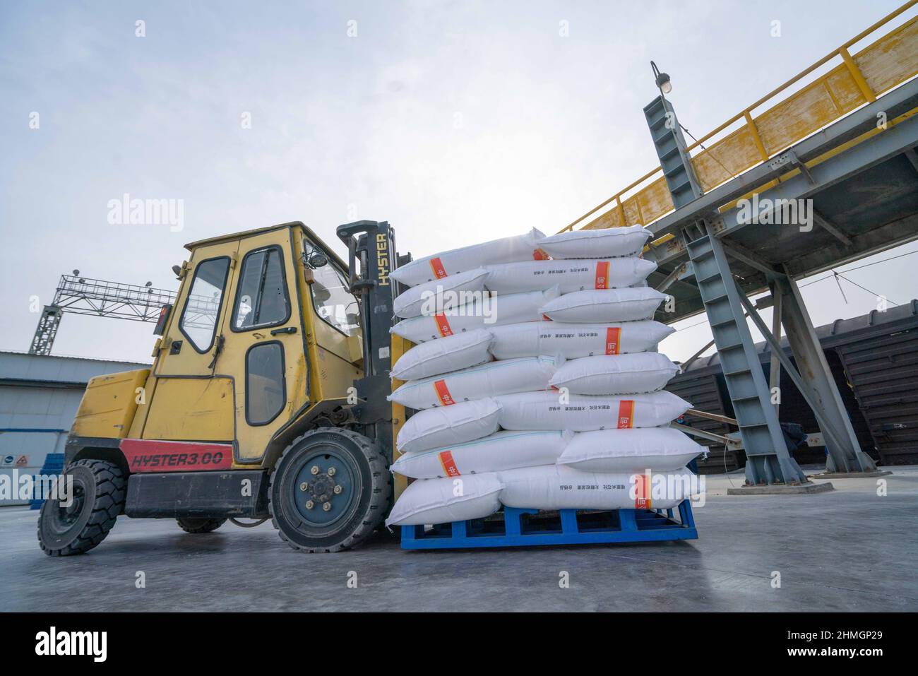BAZHOU, CHINA - FEBRUARY 10, 2022 - Workers operate forklifts to load ...