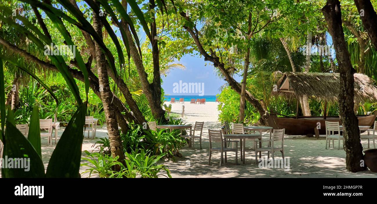 Outdoor cafe with trees on a sandy beach in Maldives Stock Photo - Alamy