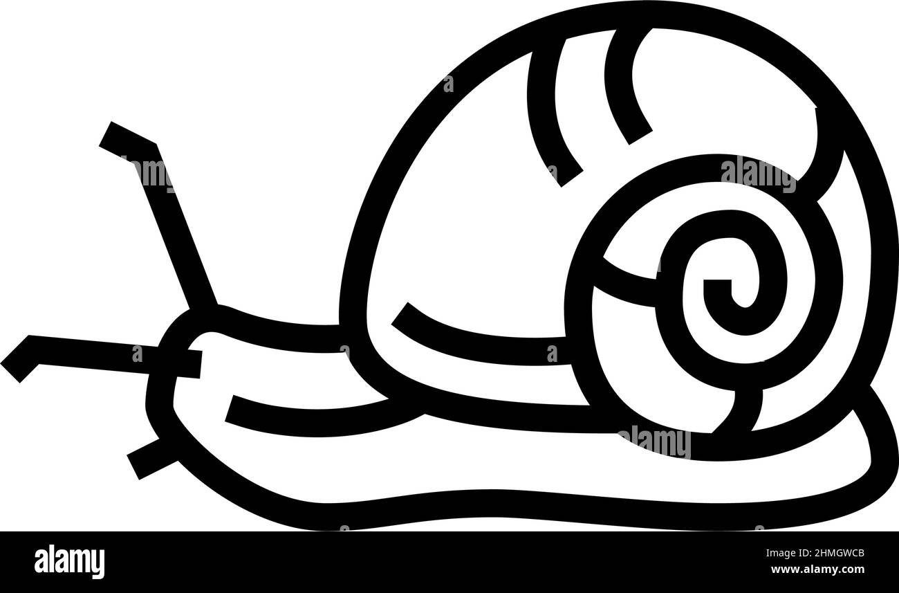 Vector crawling snail Black and White Stock Photos & Images - Alamy
