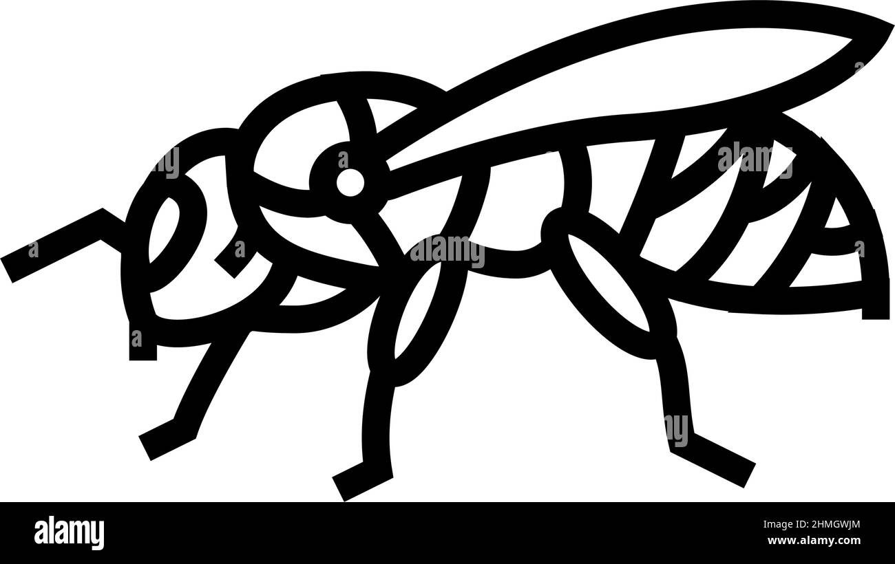 bee insect line icon vector illustration Stock Vector Image & Art - Alamy