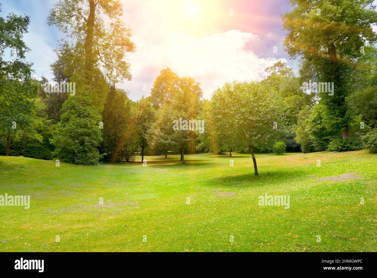 Bright Sunny Morning