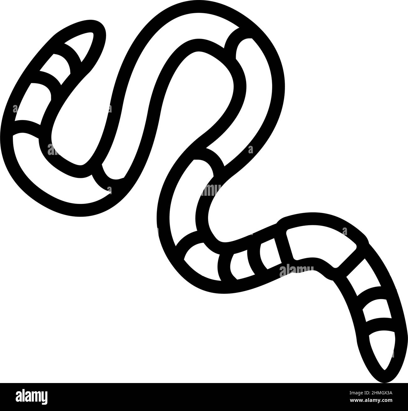 worm insect line icon vector illustration Stock Vector Image & Art - Alamy