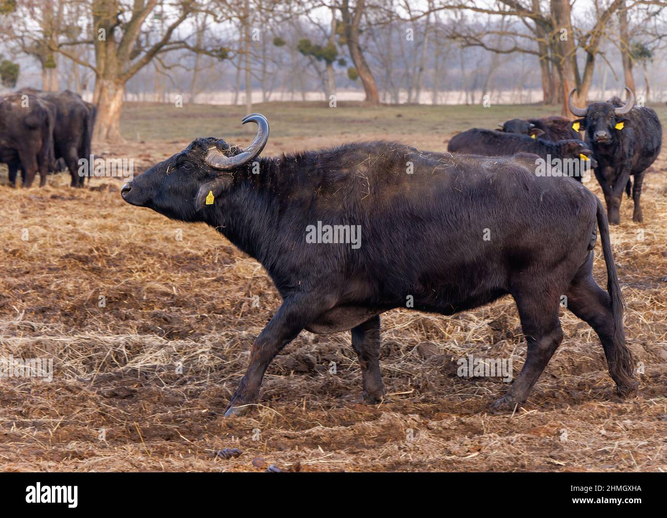 Kapolnapuszta hi-res stock photography and images - Alamy
