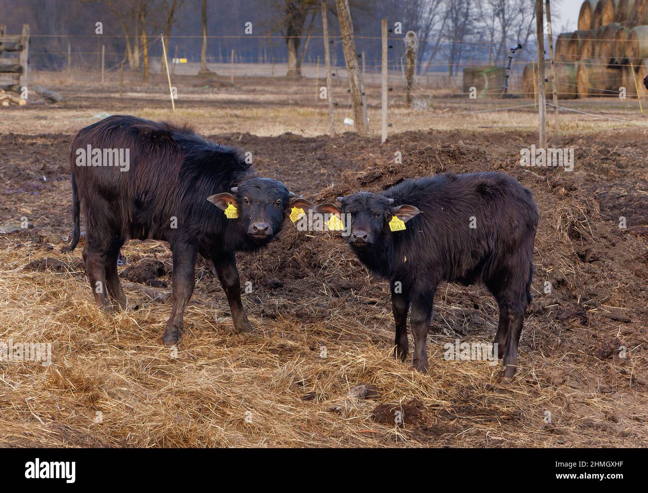 Kapolnapuszta hi-res stock photography and images - Alamy
