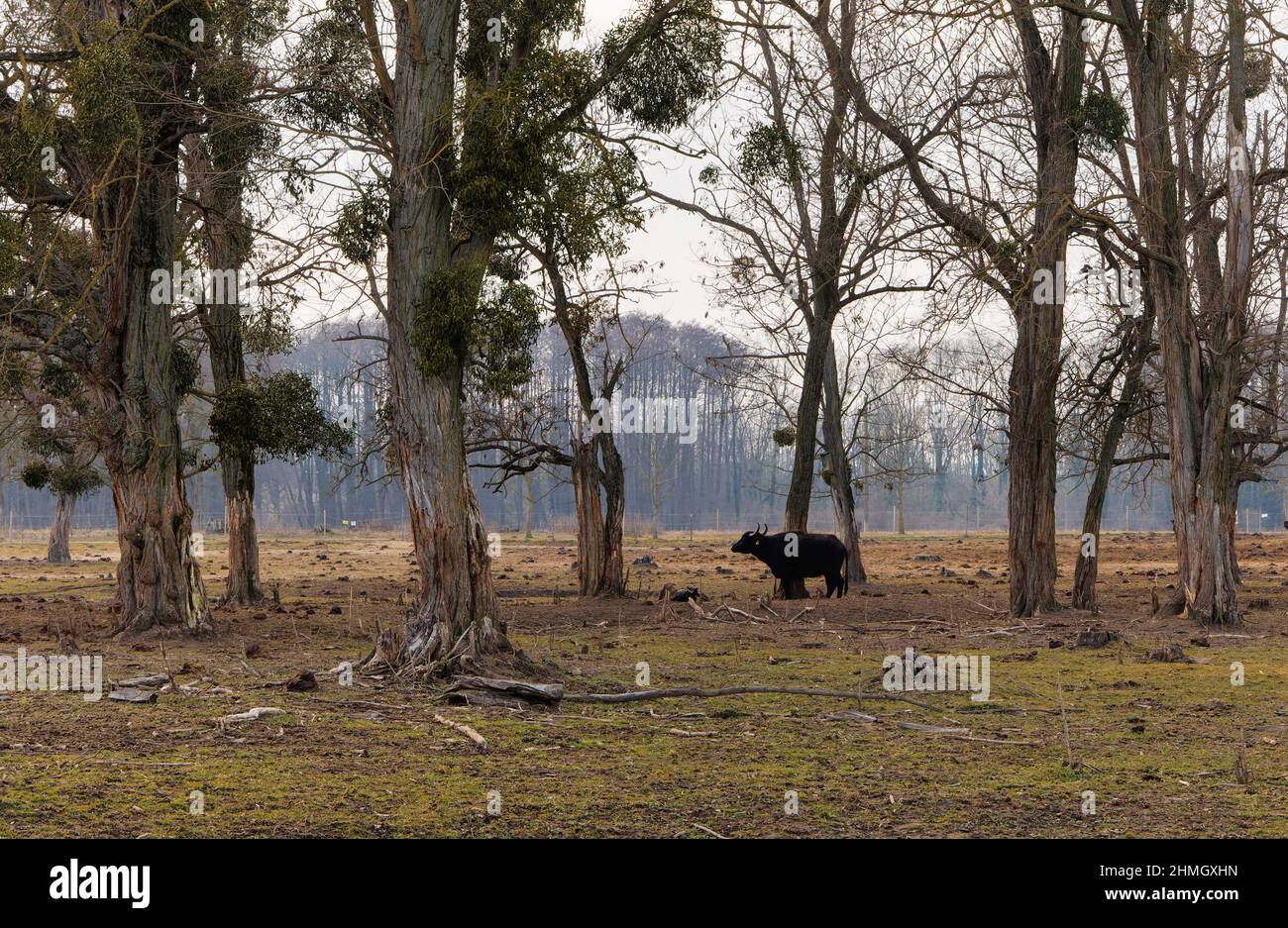 Kapolnapuszta hi-res stock photography and images - Alamy