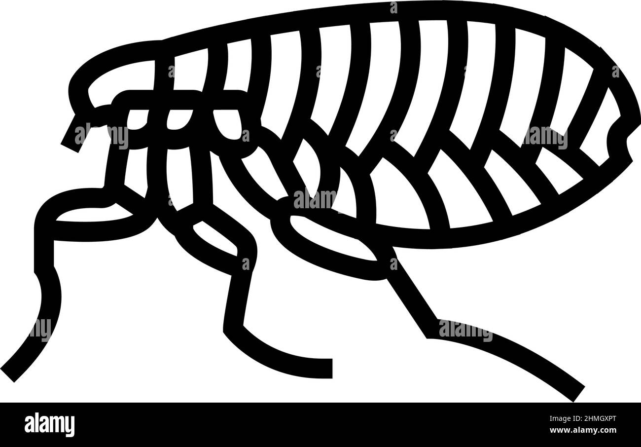 flea insect line icon vector illustration Stock Vector Image & Art - Alamy