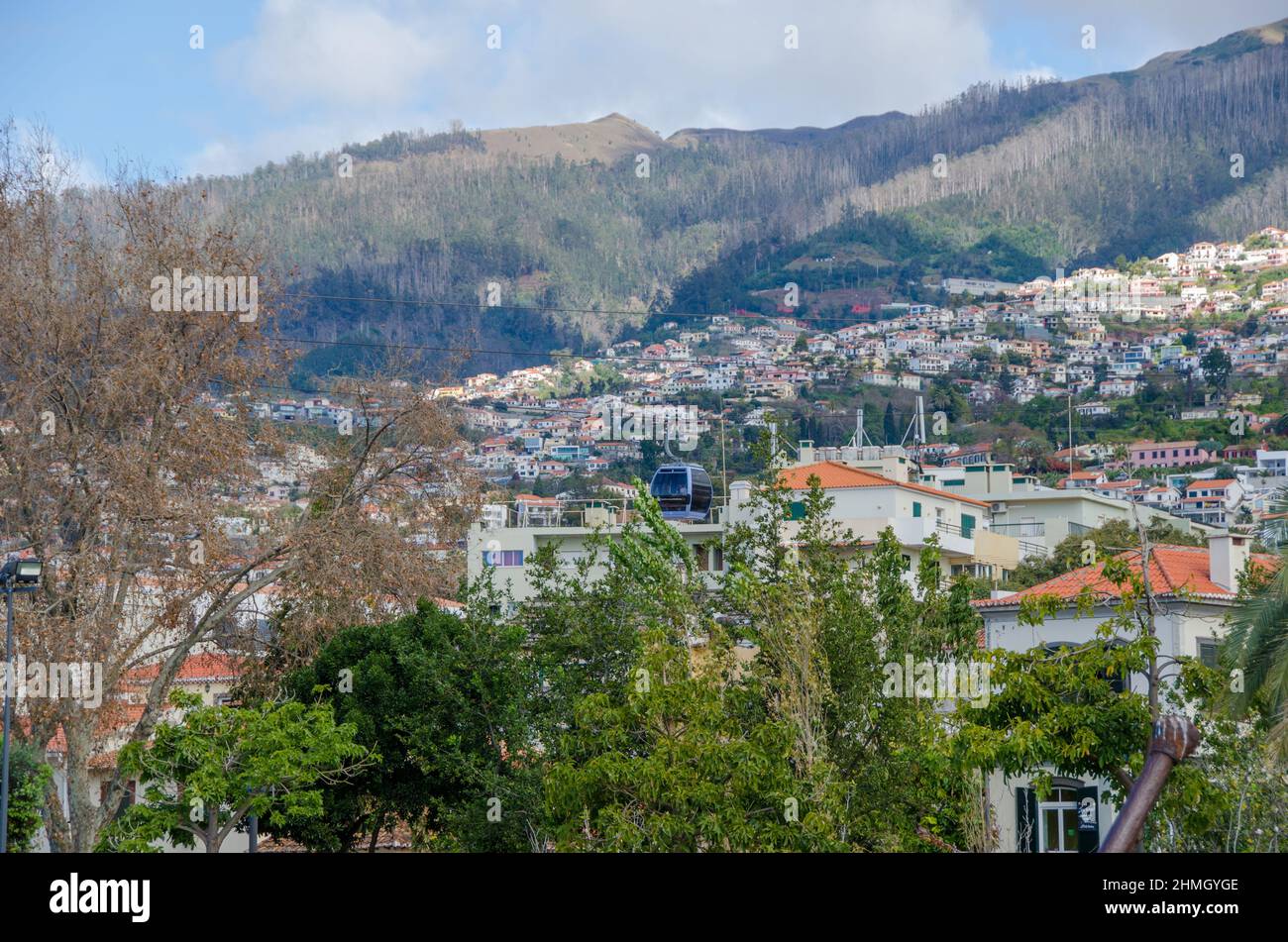 Madeira in the Canary Islands Stock Photo - Alamy