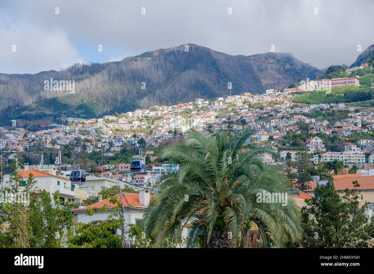 Madeira in the Canary Islands Stock Photo - Alamy