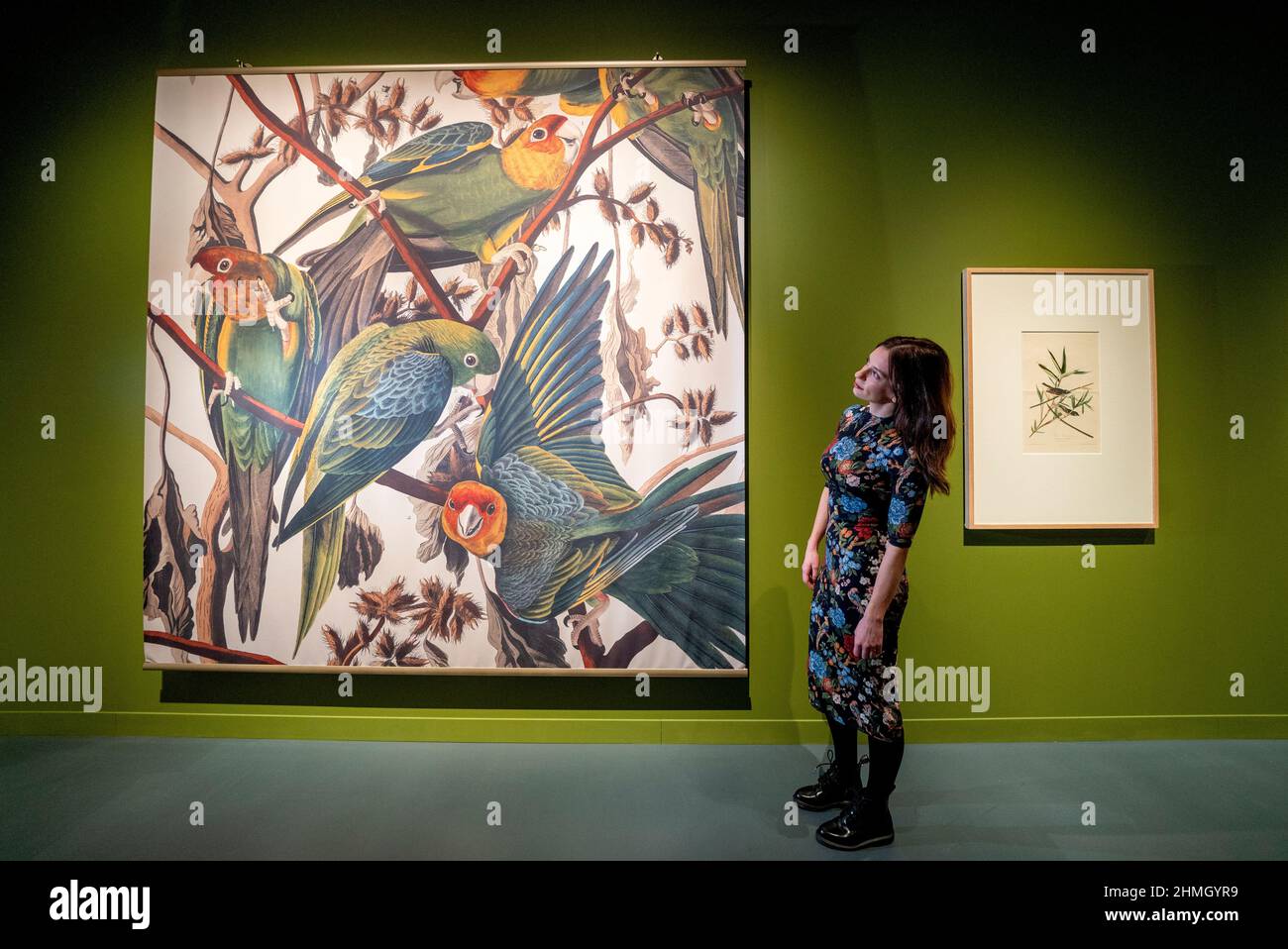 John james audubon museum audubon hi-res stock photography and images ...