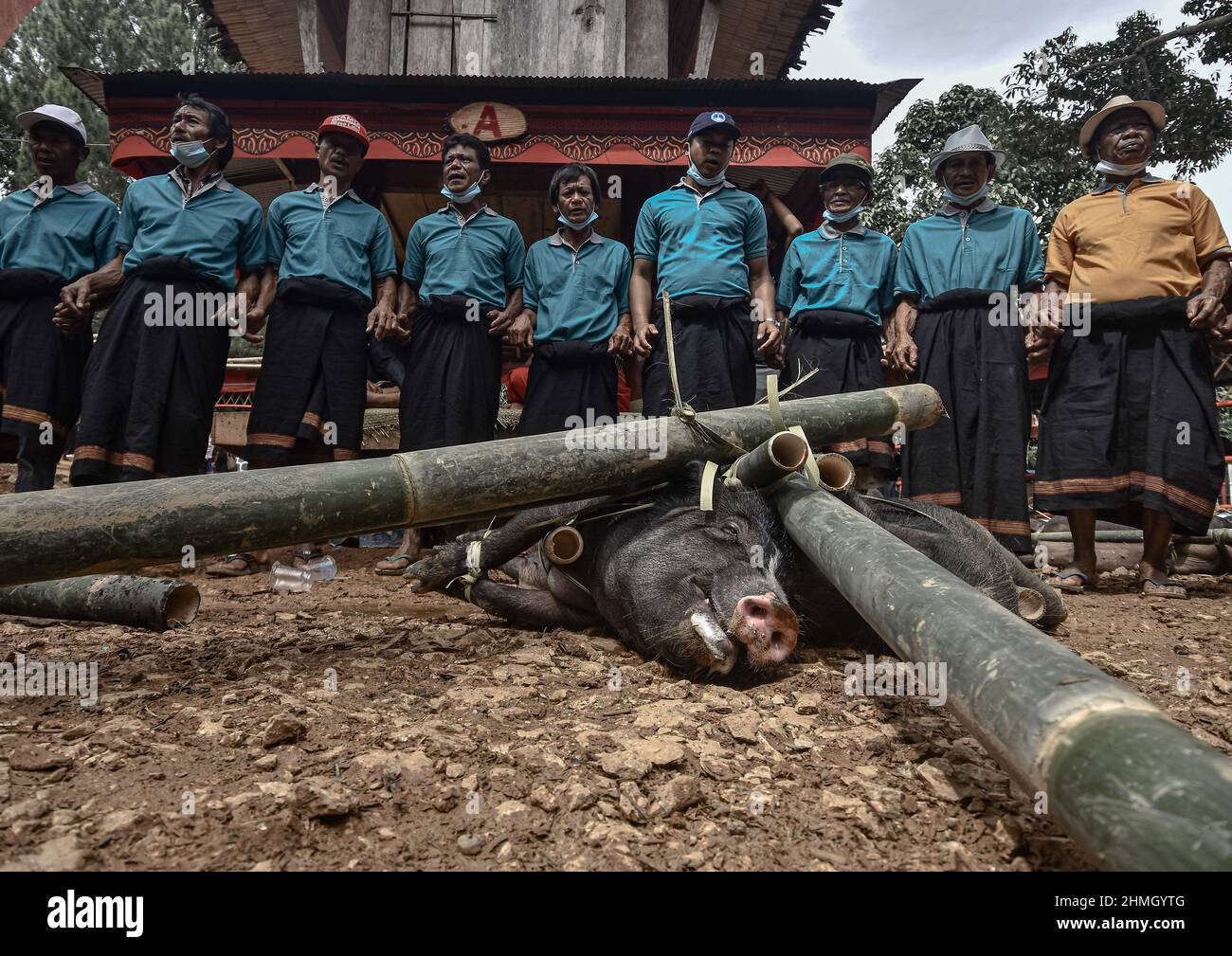 Toraja people dance the ma'badong dance at the funeral ceremony of ...