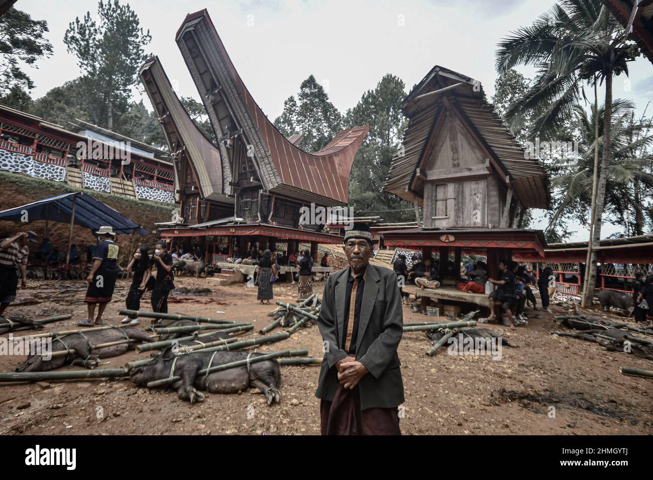 Indigenous people in Toraja, South Sulawesi, hold a funeral ceremony ...