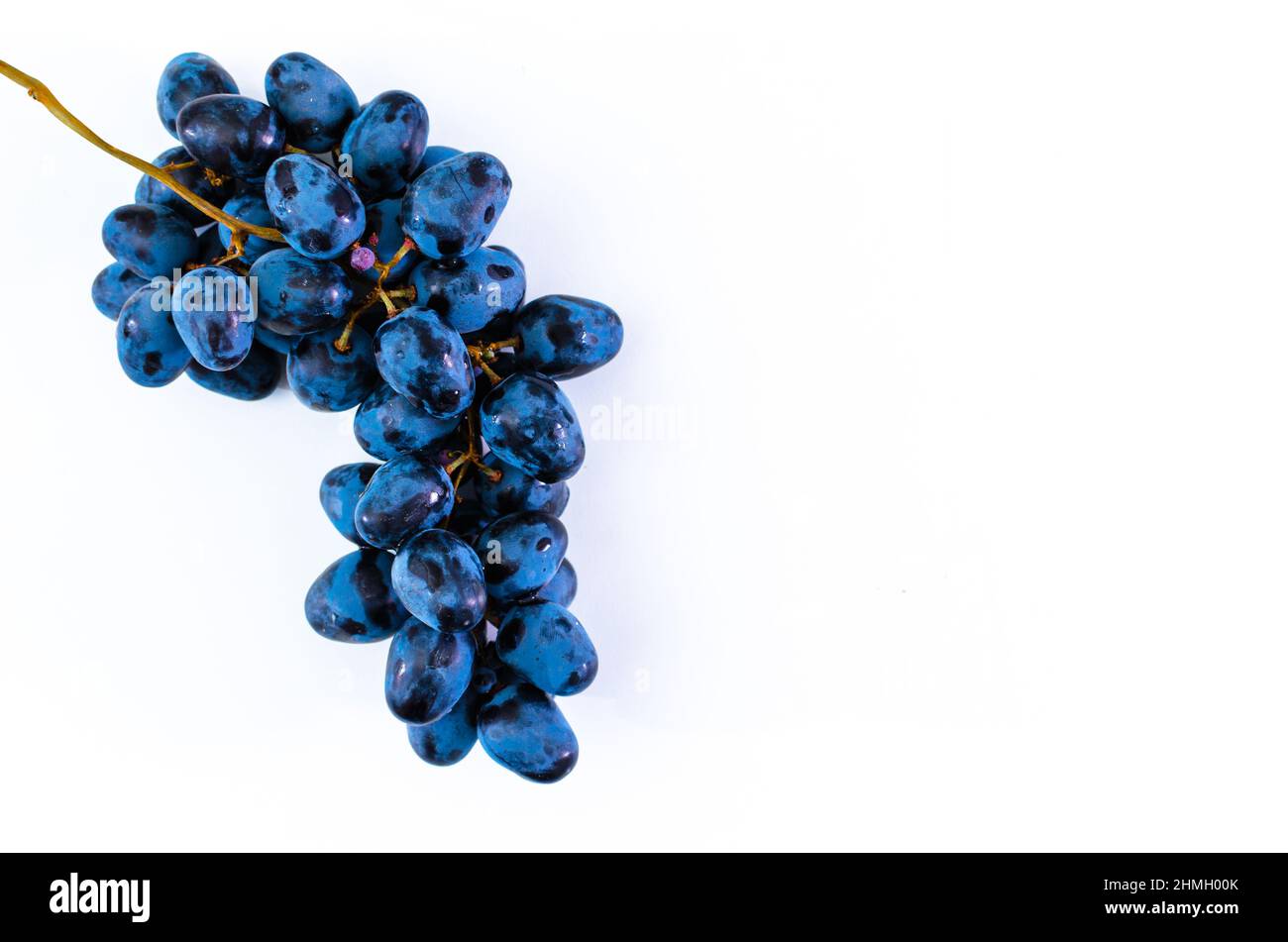 The bunch of dark blue grapes on white background Stock Photo - Alamy