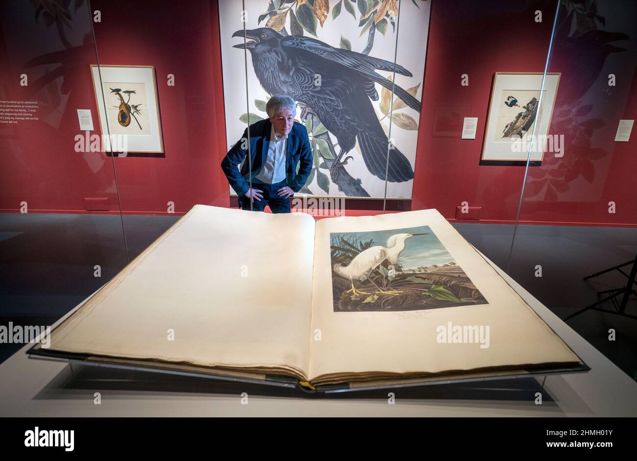 242 series hi-res stock photography and images - Alamy