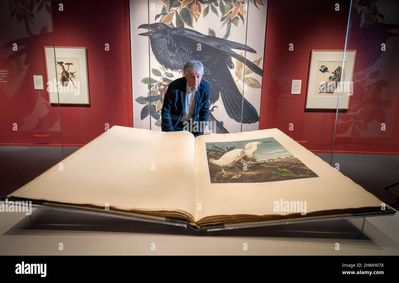 242 series hi-res stock photography and images - Alamy