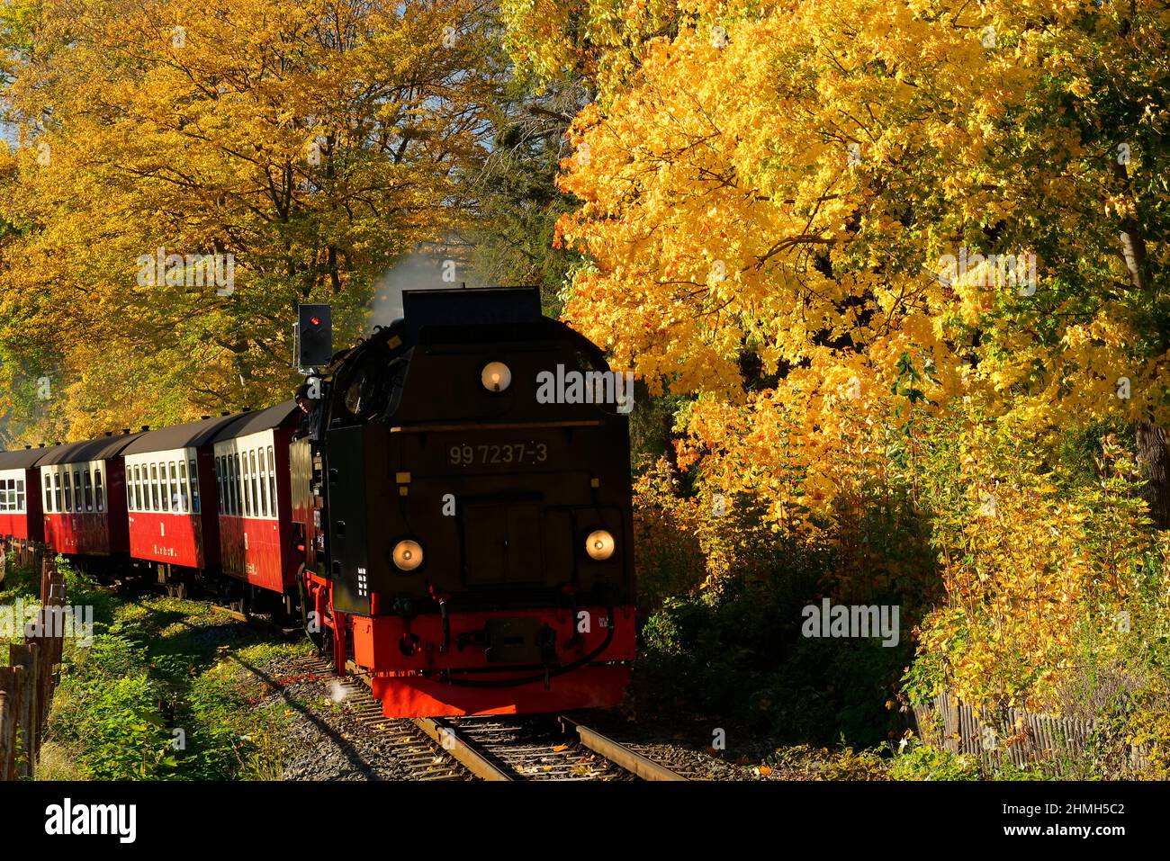 Brockenbahn on the way to Wernigerode station, Harz, Saxony-Anhalt ...